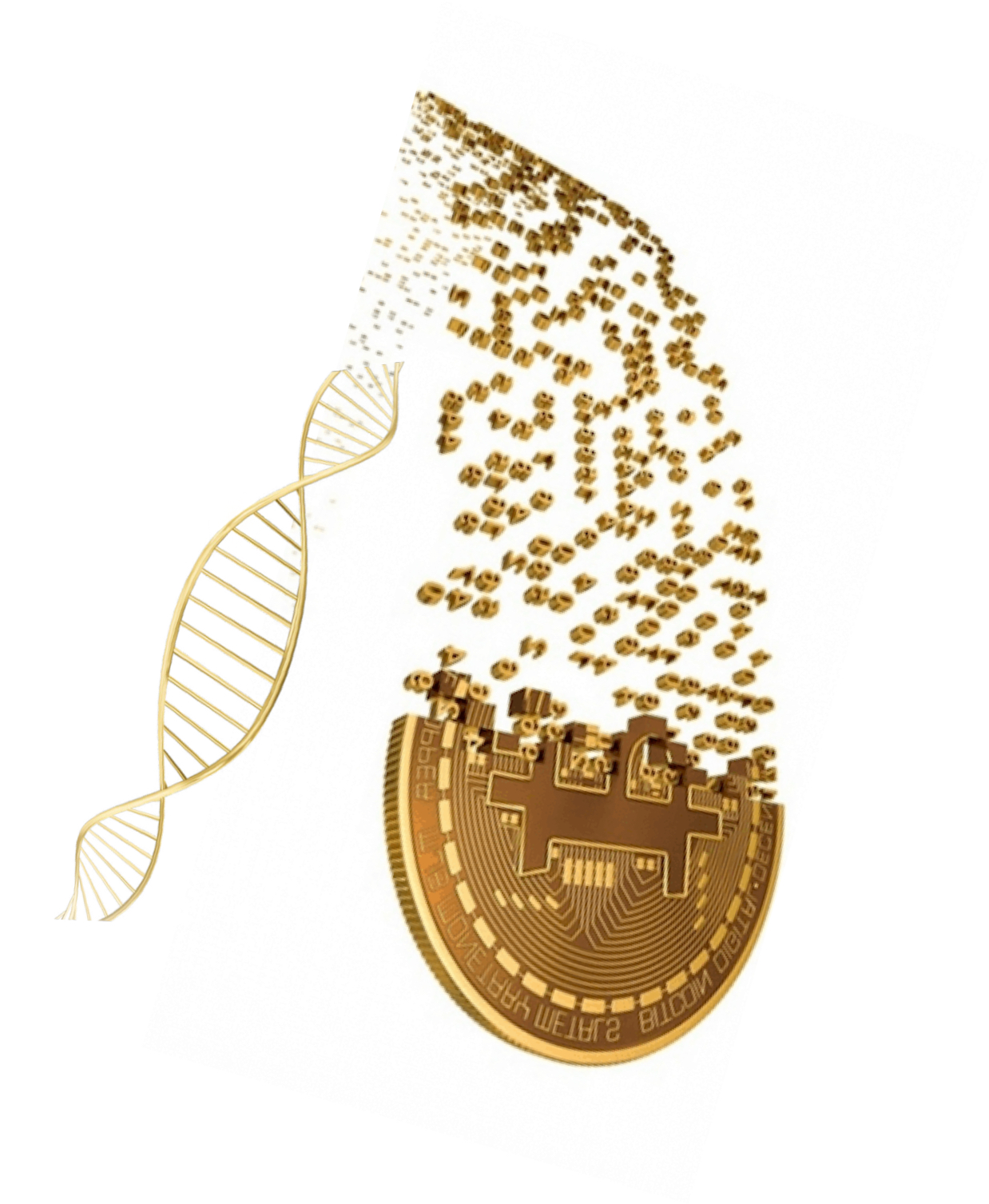 “Wow such genetics. So data. Very forever?” – An overview of the ...